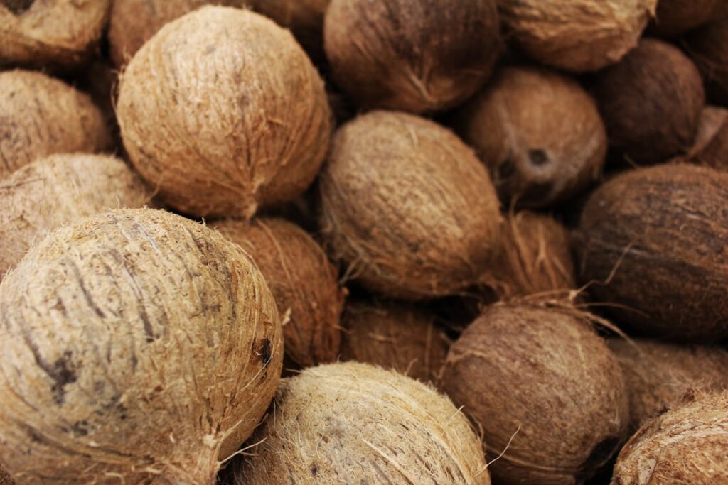 Dehusked Coconut Supplier | Sri Lankan Fresh Mature Coconuts
